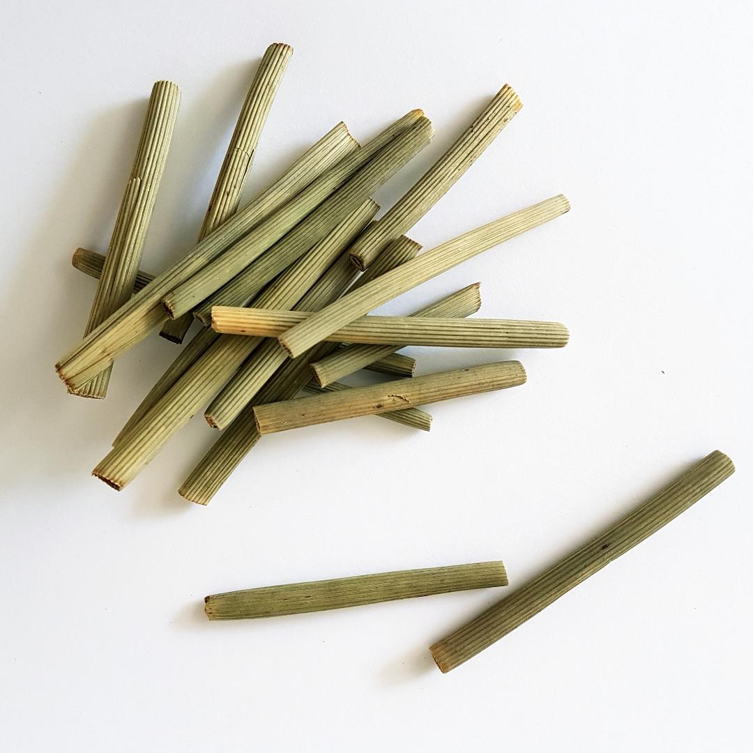 Herba Equiseti Hiemalis Yao Dao