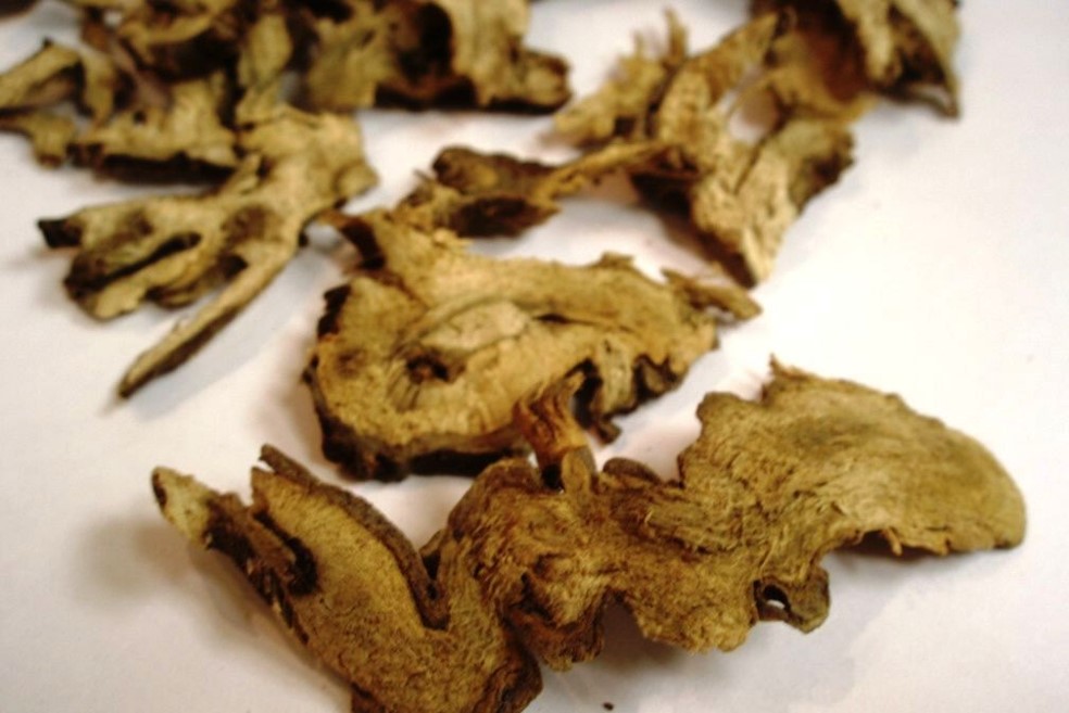 Radix Cyathulae Officinalis Yao Dao