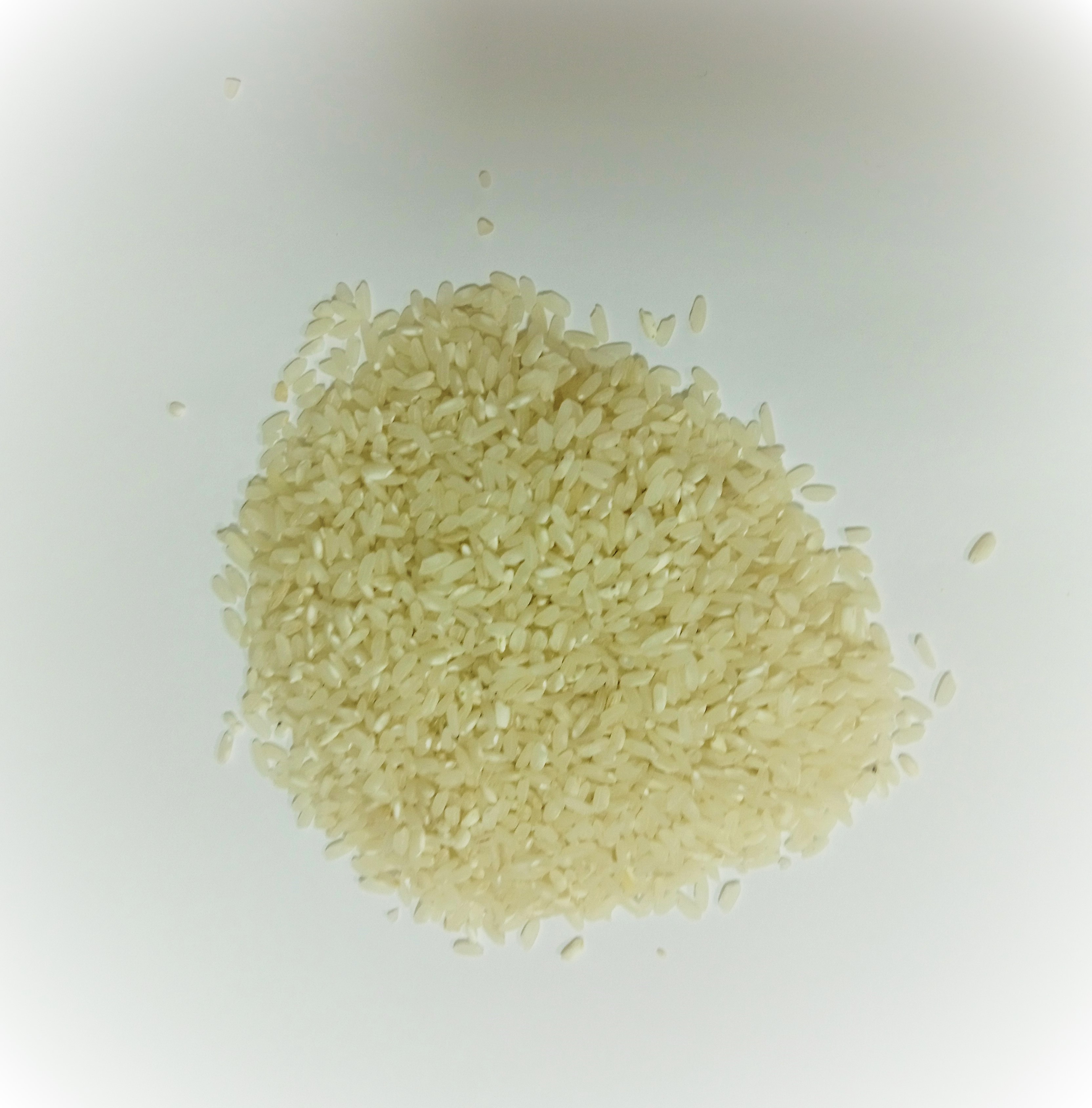 Semen Oryzae Sativae Yao Dao