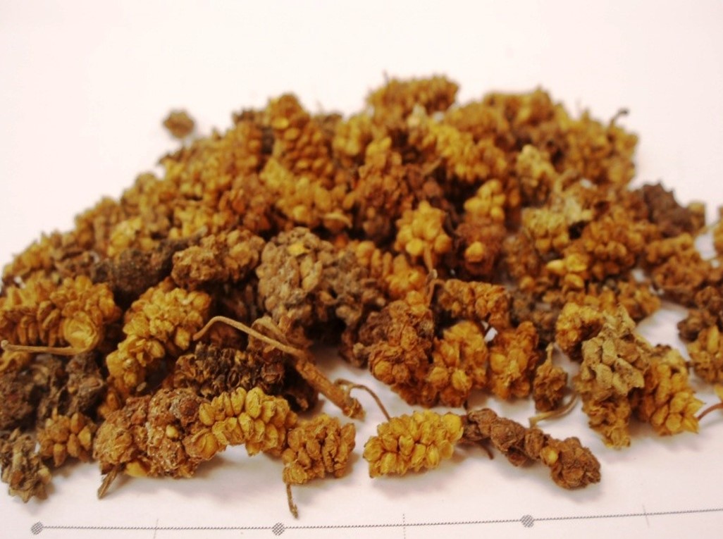 Fructus Mori Albae Yao Dao